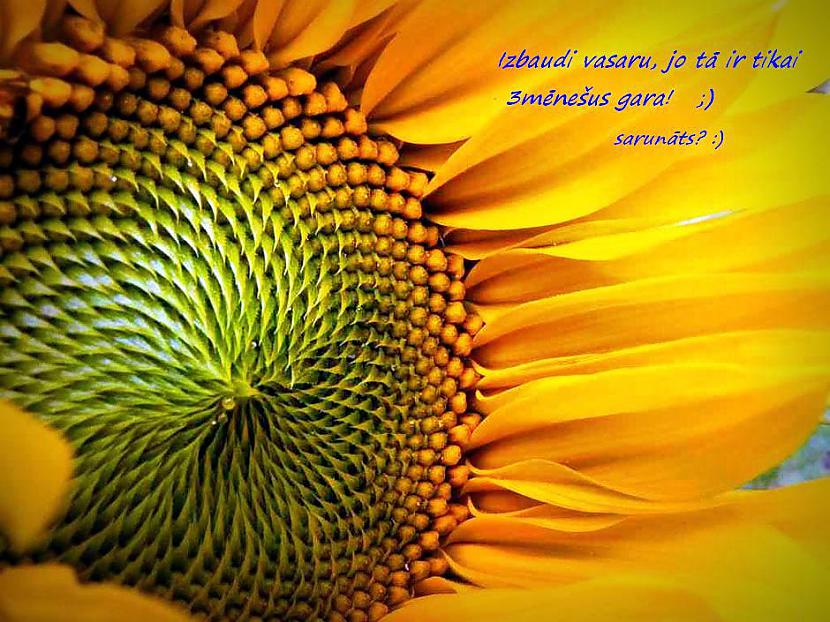 vasara, vasara, vasarā... (: - Spoki